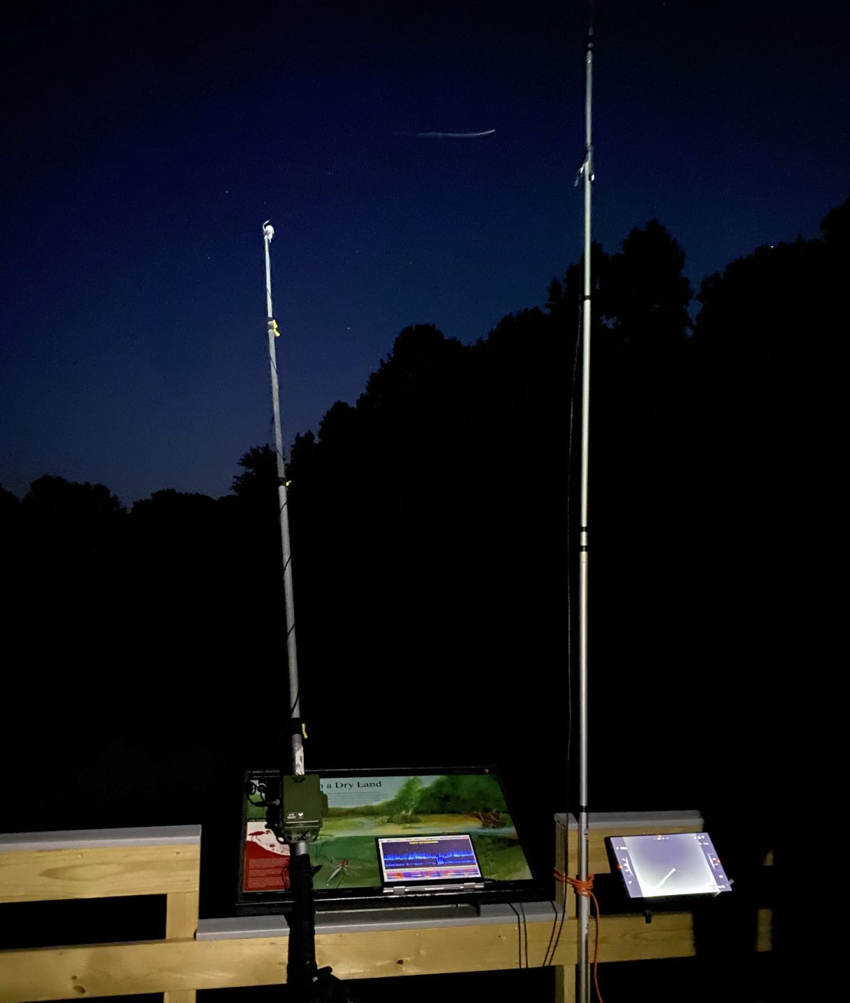 Listening for Bats: Insights on Acoustic Monitoring | Straughan ...