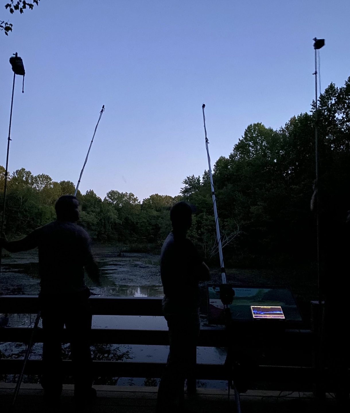 Listening for Bats: Insights on Acoustic Monitoring | Straughan ...