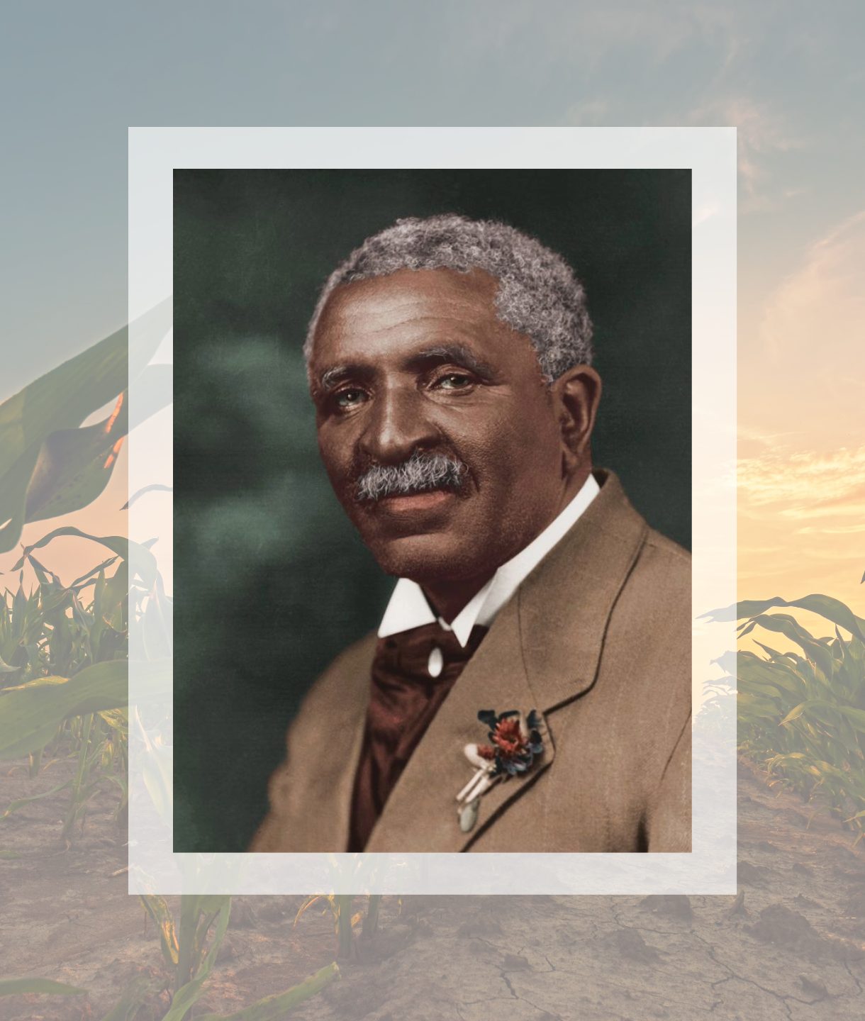 Celebrating George Washington Carver – A Pioneer of Agricultural ...
