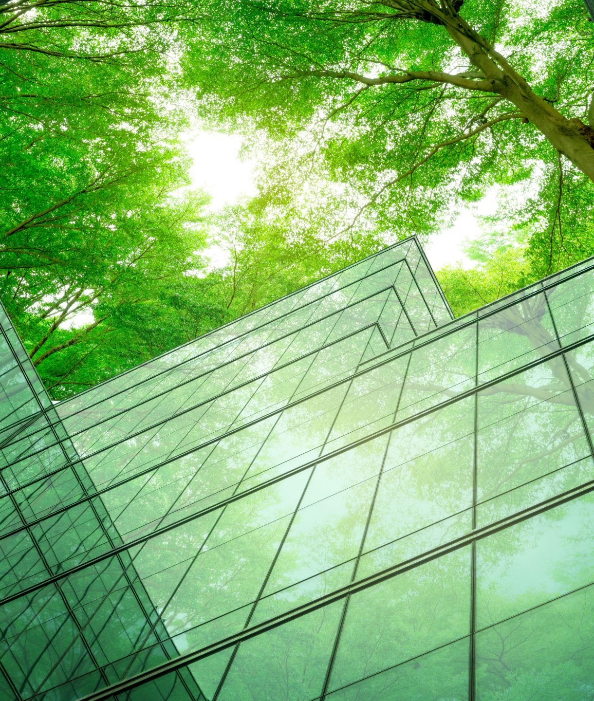 LEED v5: The Newest Version Green Building Standards from USGBC ...